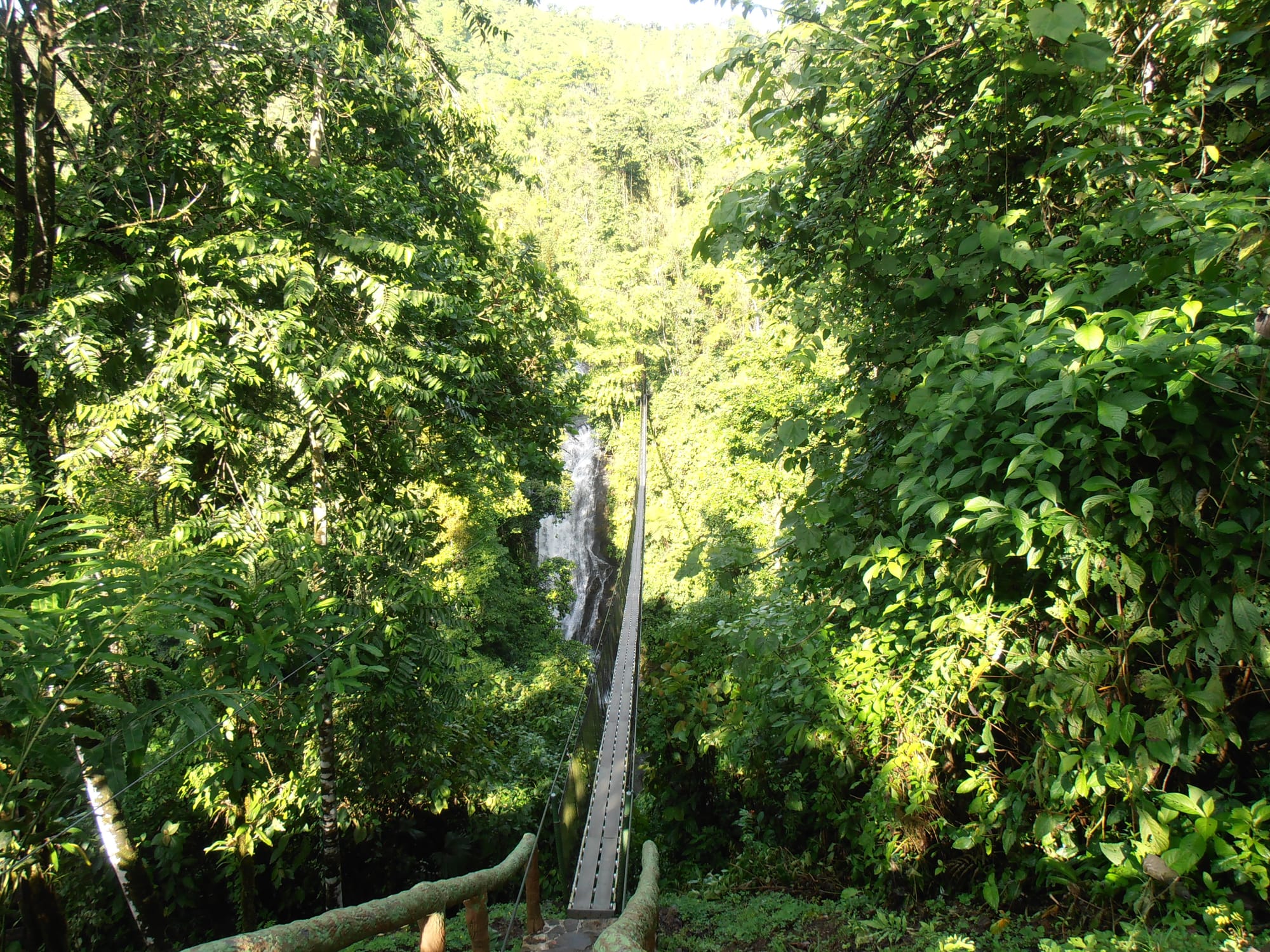 Ensayo Turismo Rural Comunitario en Costa Rica - Turismo Rural ...