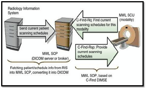 What are in Radiology Information System? - Radiology Information System