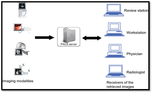 What are in Radiology Information System? - Radiology Information System