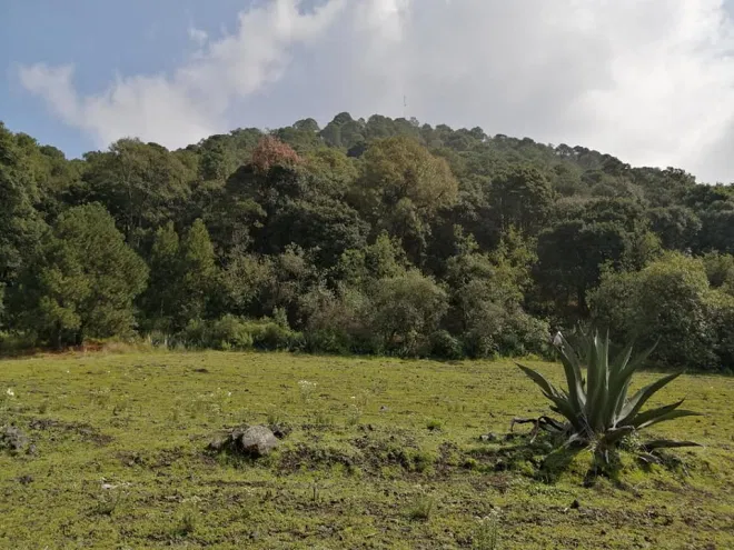 Volcán Xitle CdMx - Explorando México