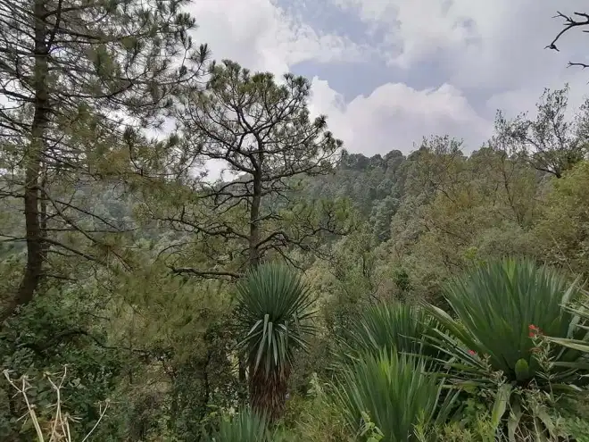 Volcán Xitle CdMx - Explorando México