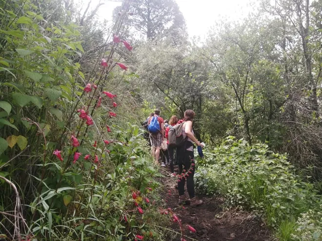 Volcán Xitle CdMx - Explorando México